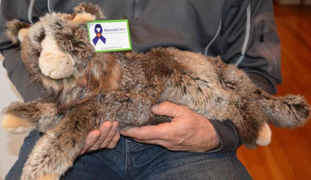 Bicycle Fenders Douglas Oscar Maine Coon Cat Plush - 20 Inch Realistic ...